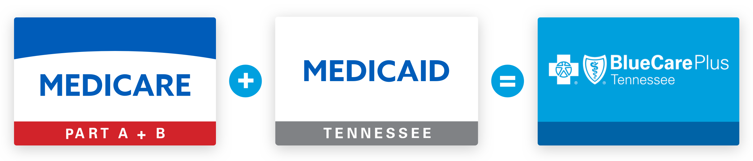 BlueCare Plus DSNP | BCBS of Tennessee